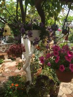 Um jardim com tronco de árvore branco, diversos vasos de plantas e bebedouros suspensos para pássaros.