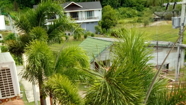 Vista de uma área residencial com uma casa, palmeiras e um caminho pavimentado.