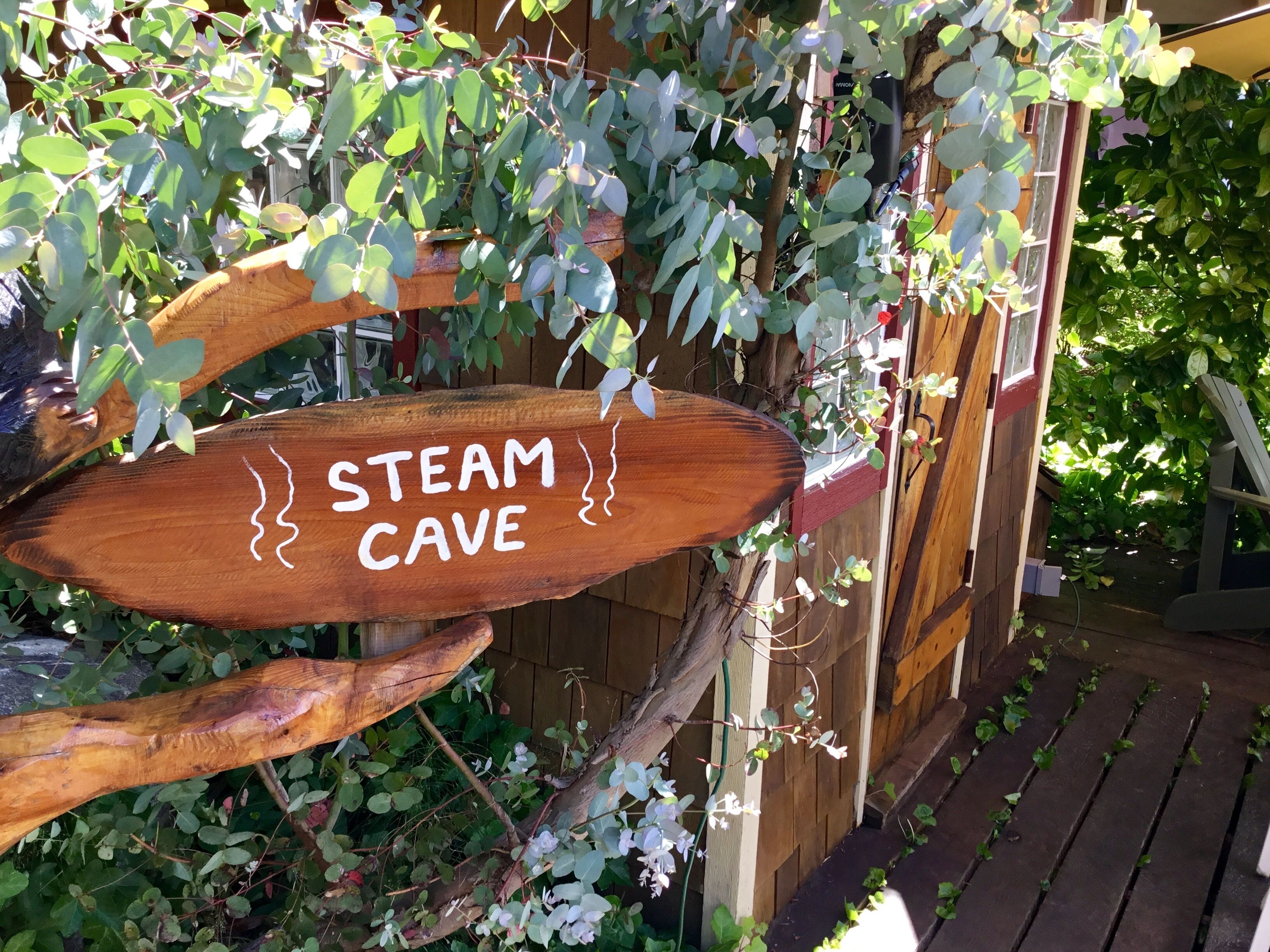 Uma placa de madeira com o texto 'STEAM CAVE' rodeada por vegetação.