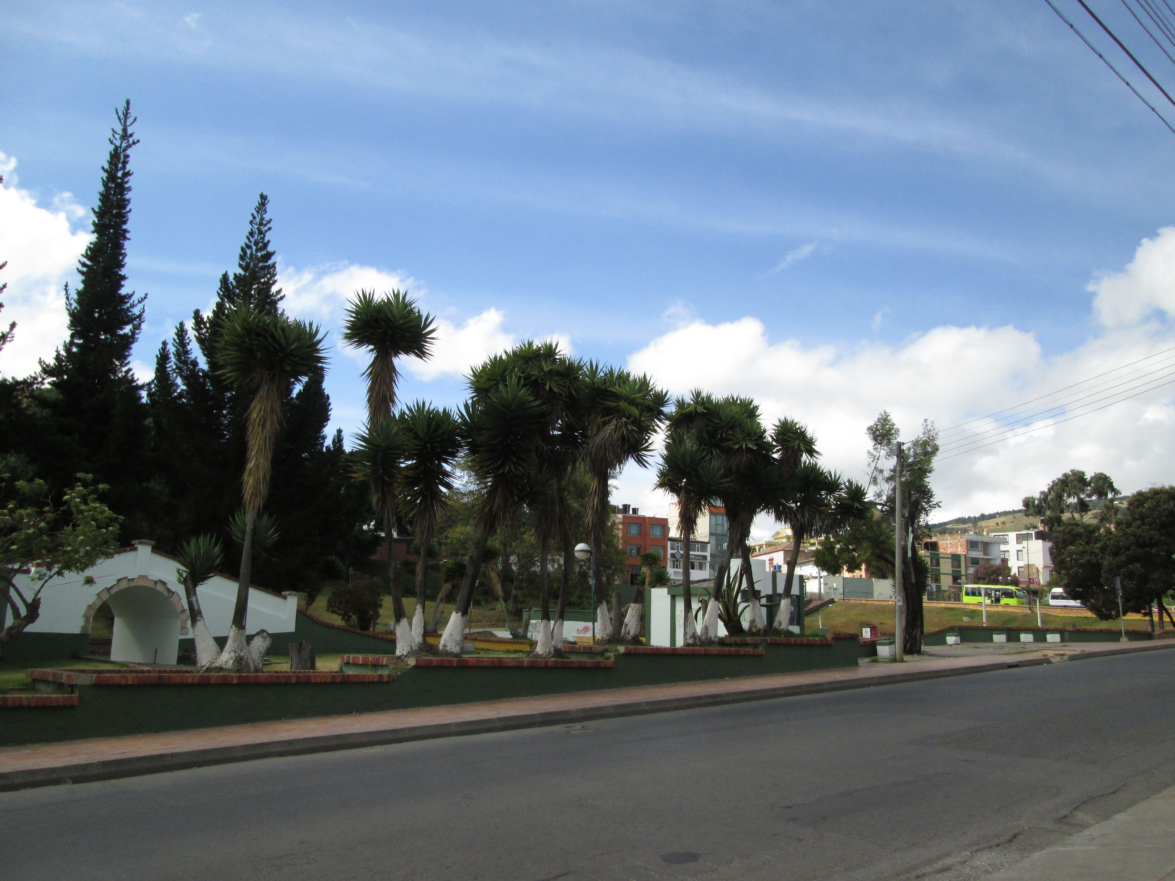 Rua com palmeiras e um edifício branco com gramado verde.