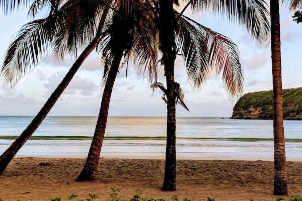 Vista para a praia ou o mar