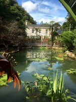 Terrenos do alojamento