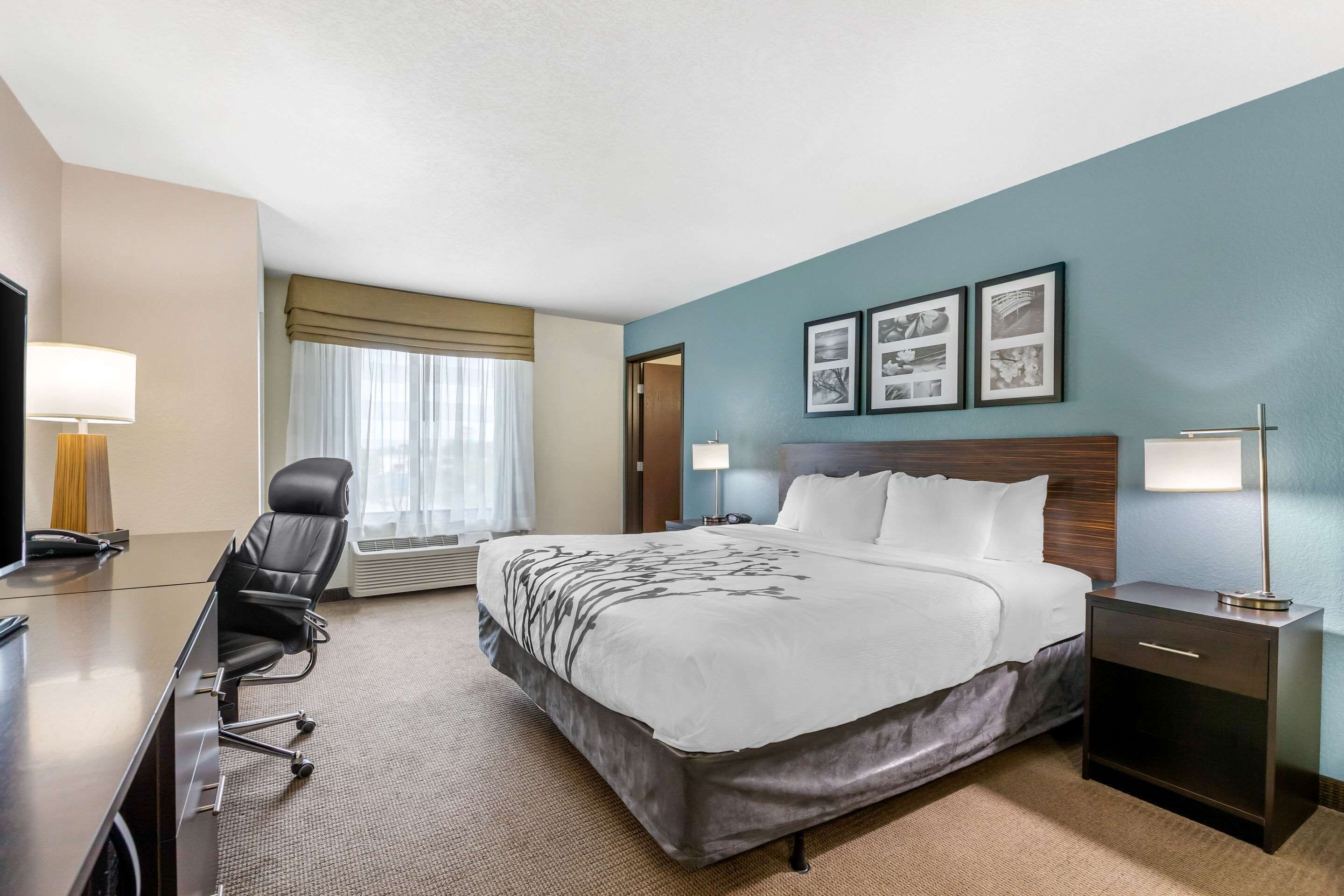 Quarto de hotel com uma cama grande, uma escrivaninha com cadeira, mesa de cabeceira e televisão.