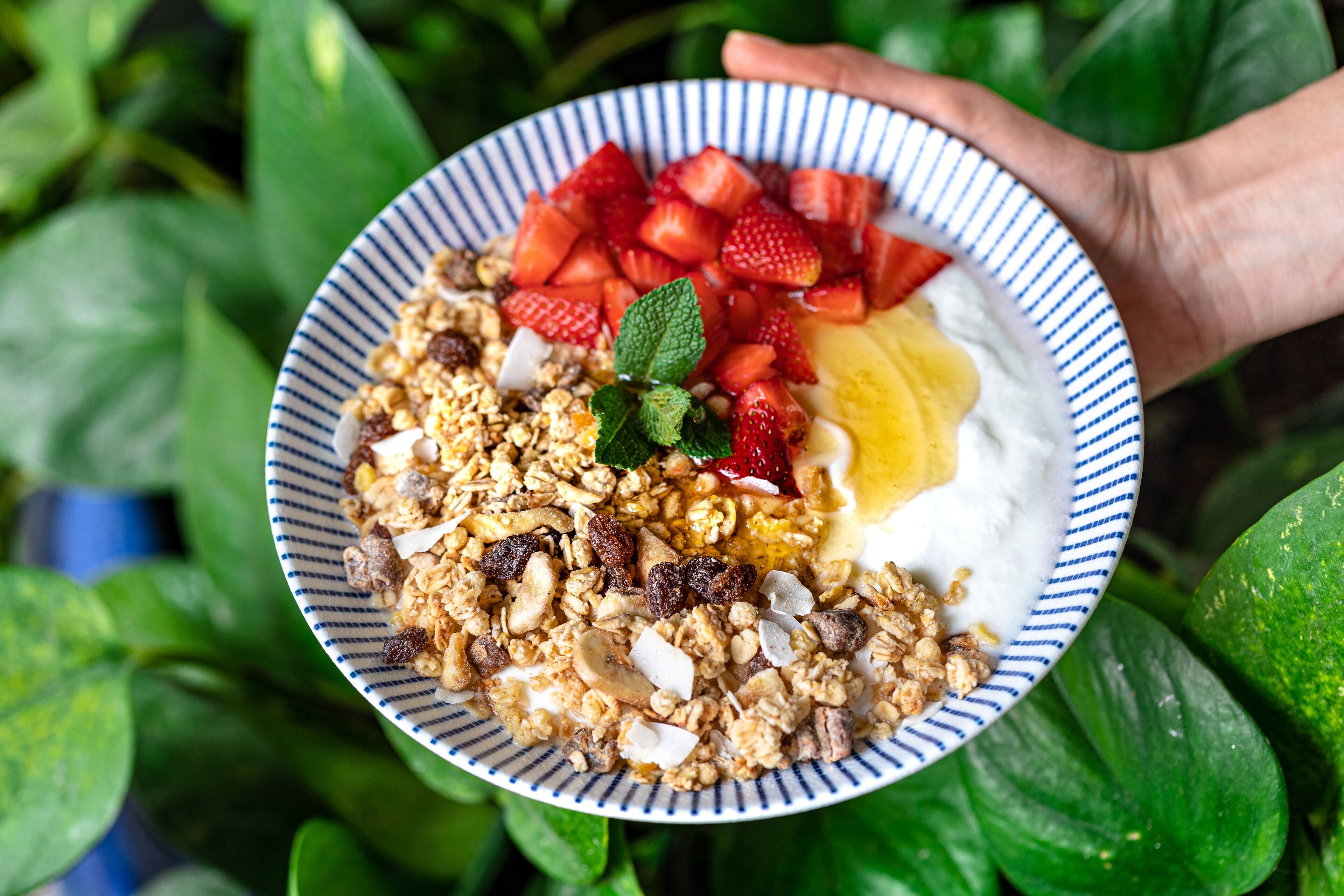 Uma tigela de granola com morangos, iogurte e nozes.