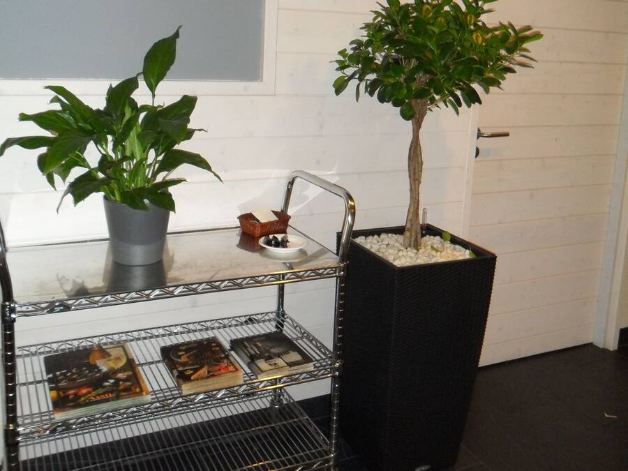 Quarto com carrinho de metal contendo livros e uma planta em vaso.
