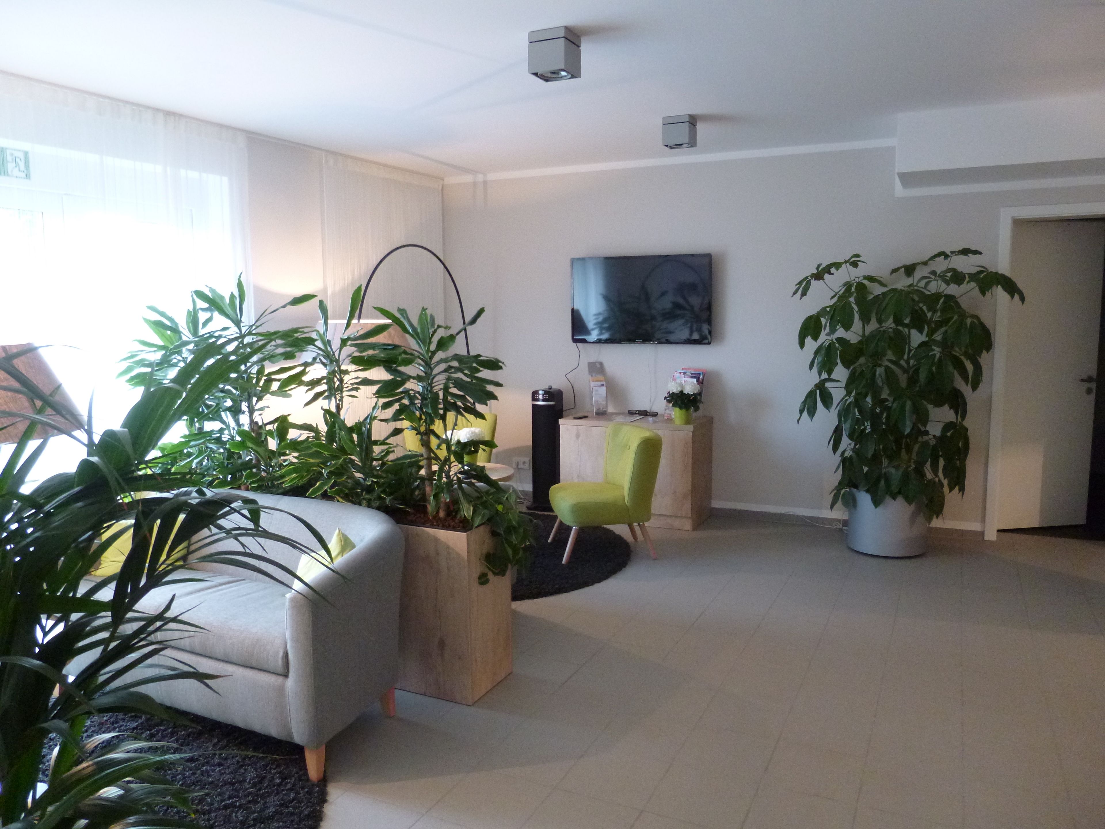 Uma sala de estar moderna com um sofá, uma poltrona verde, uma mesa de centro e várias plantas em vasos.