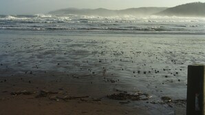 Uma praia com ondas e colinas ao longe.
