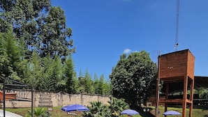 Piscina com escorrega, cercada por palmeiras e área coberta com guarda-sóis.