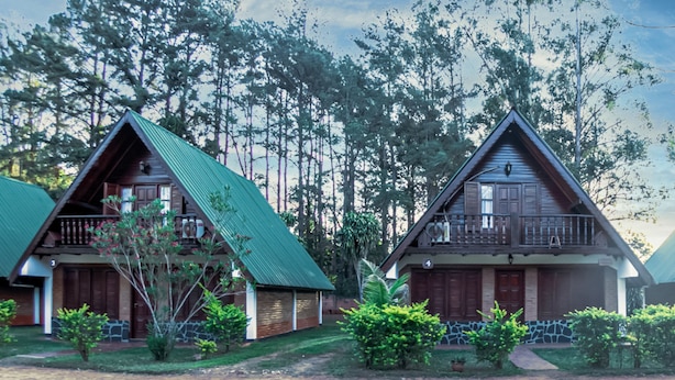 Duas cabanas com telhados verdes, rodeadas por uma floresta.
