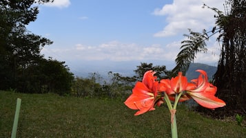 Vista para a montanha