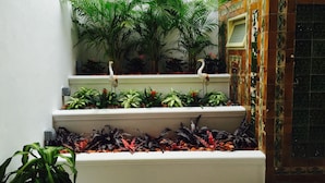 Uma escadaria com vários níveis de plantas em vasos e uma parede decorativa com azulejos.