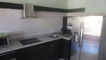 Um frigorífico/congelador grande, um micro-ondas, uma placa de cozinha