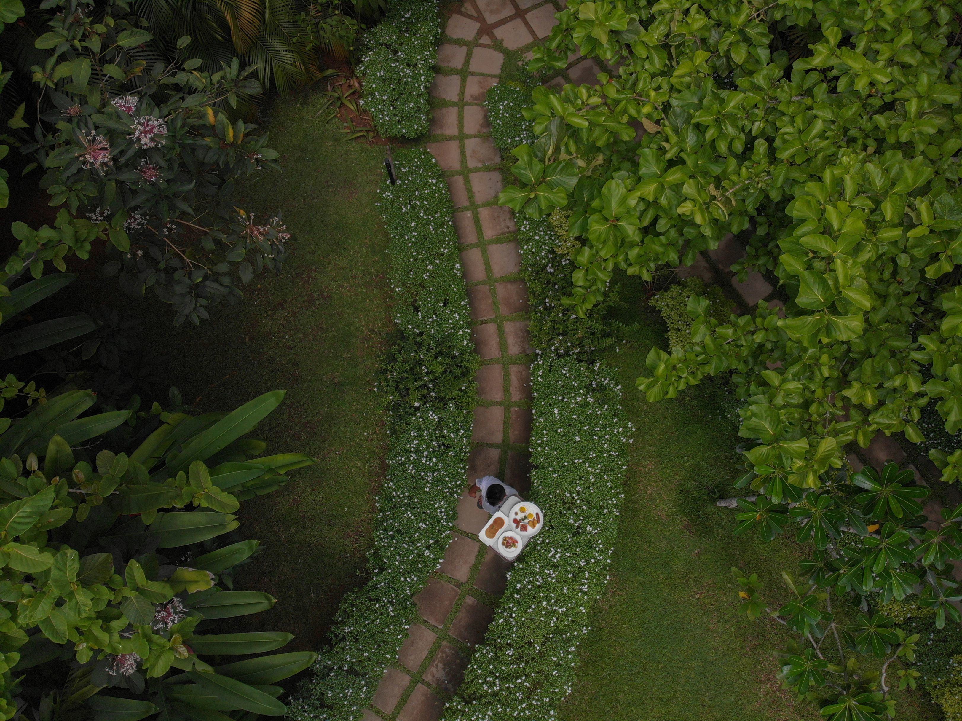 Jardim