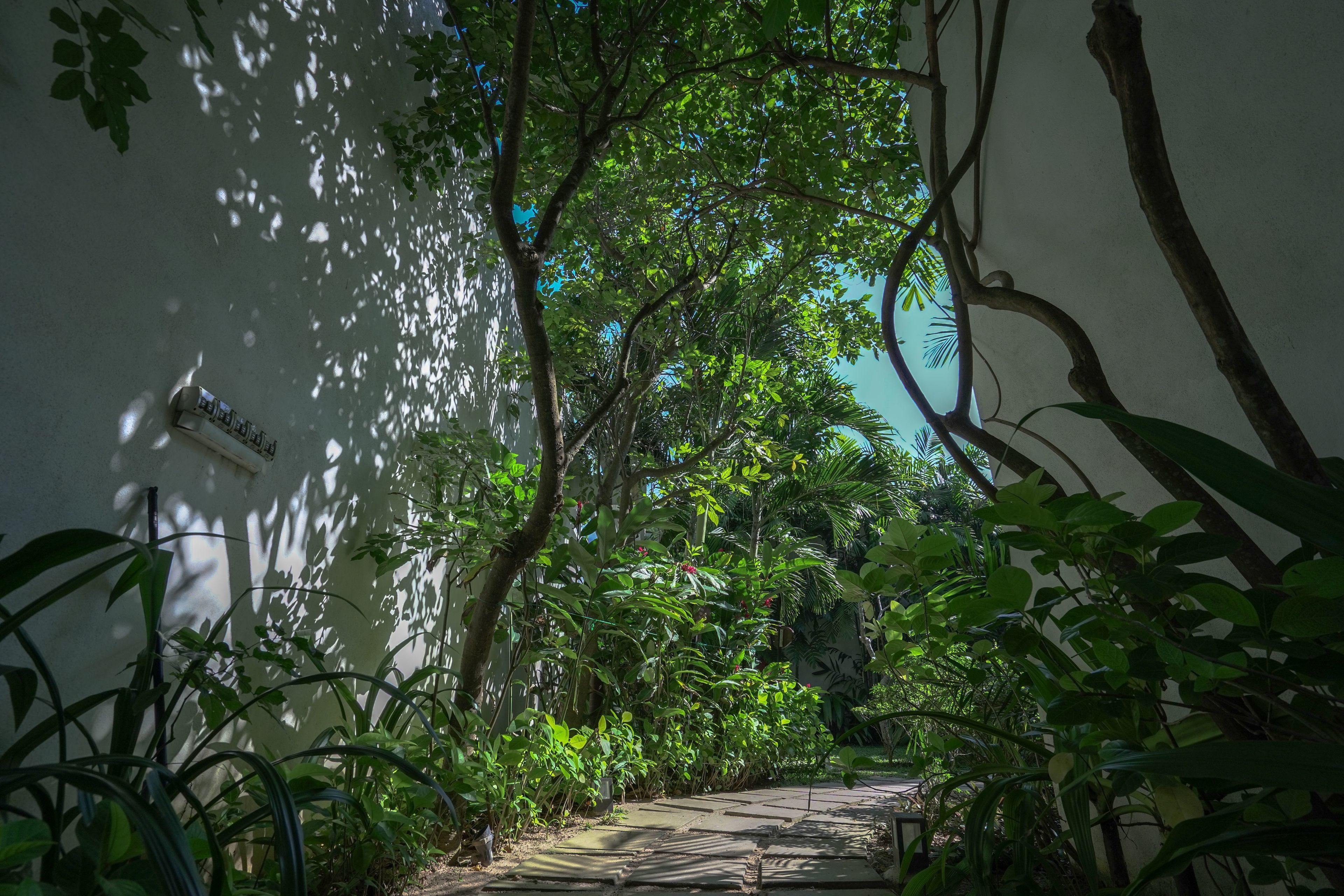 Terrenos do alojamento