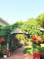 Um caminho no jardim com uma pérgula coberta por folhagem verde e flores vermelhas.
