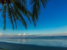 Uma praia com palmeiras e céu claro.