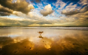 Perto da praia, praia de areia branca, toldos de praia gratuitos 