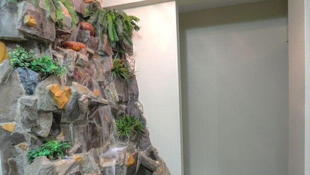 Muro de pedra com cascata e vegetação.