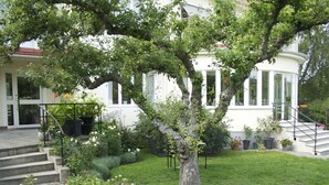 Um jardim bem cuidado com uma árvore, um banco de pedra e um edifício branco com fachada curva.