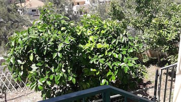 Terraço/pátio interior