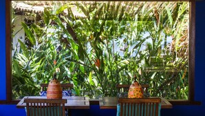 Uma janela com vista para um jardim exuberante, mobiliário de madeira e vasos decorativos.