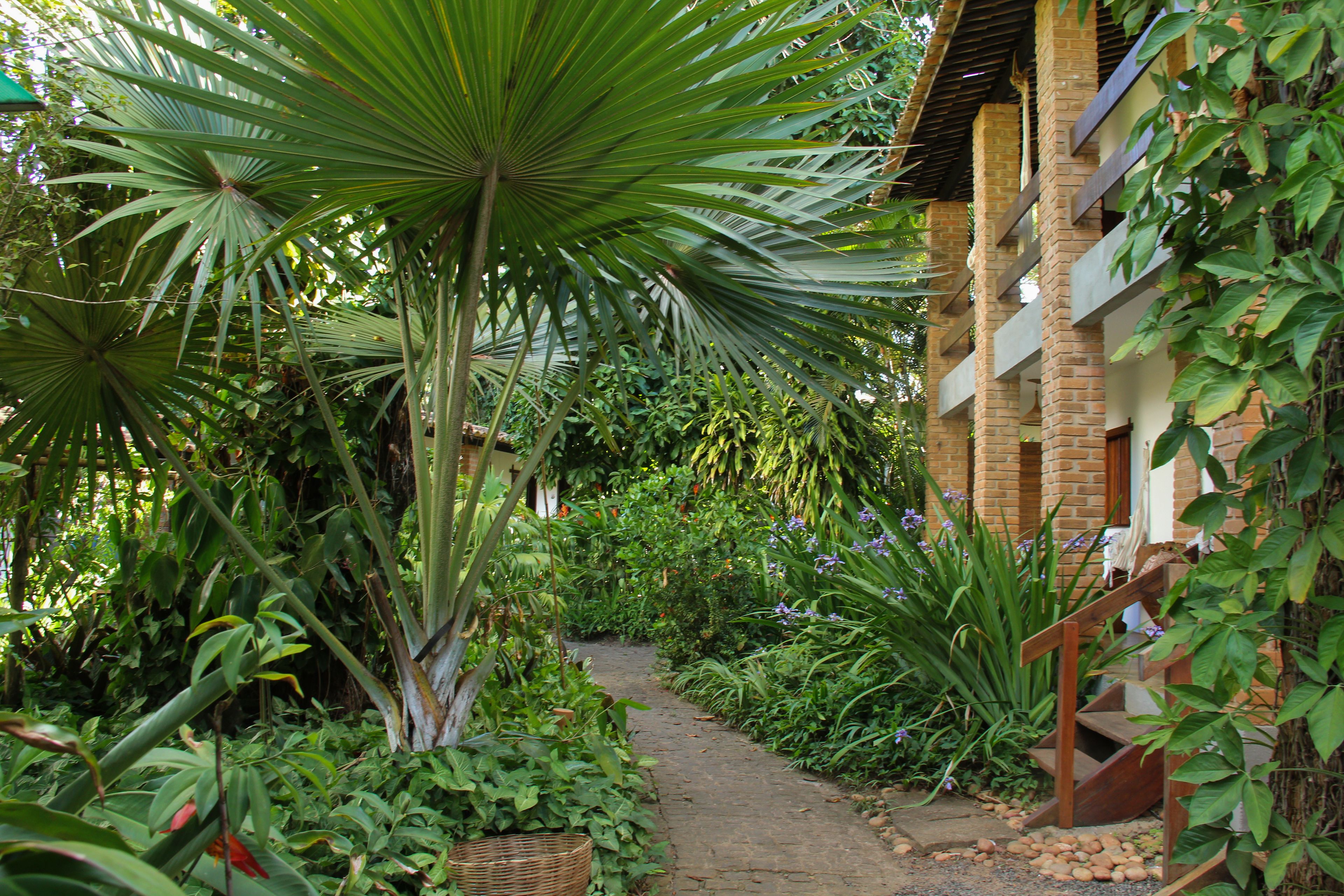 Jardim