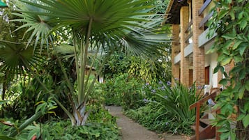 Jardim