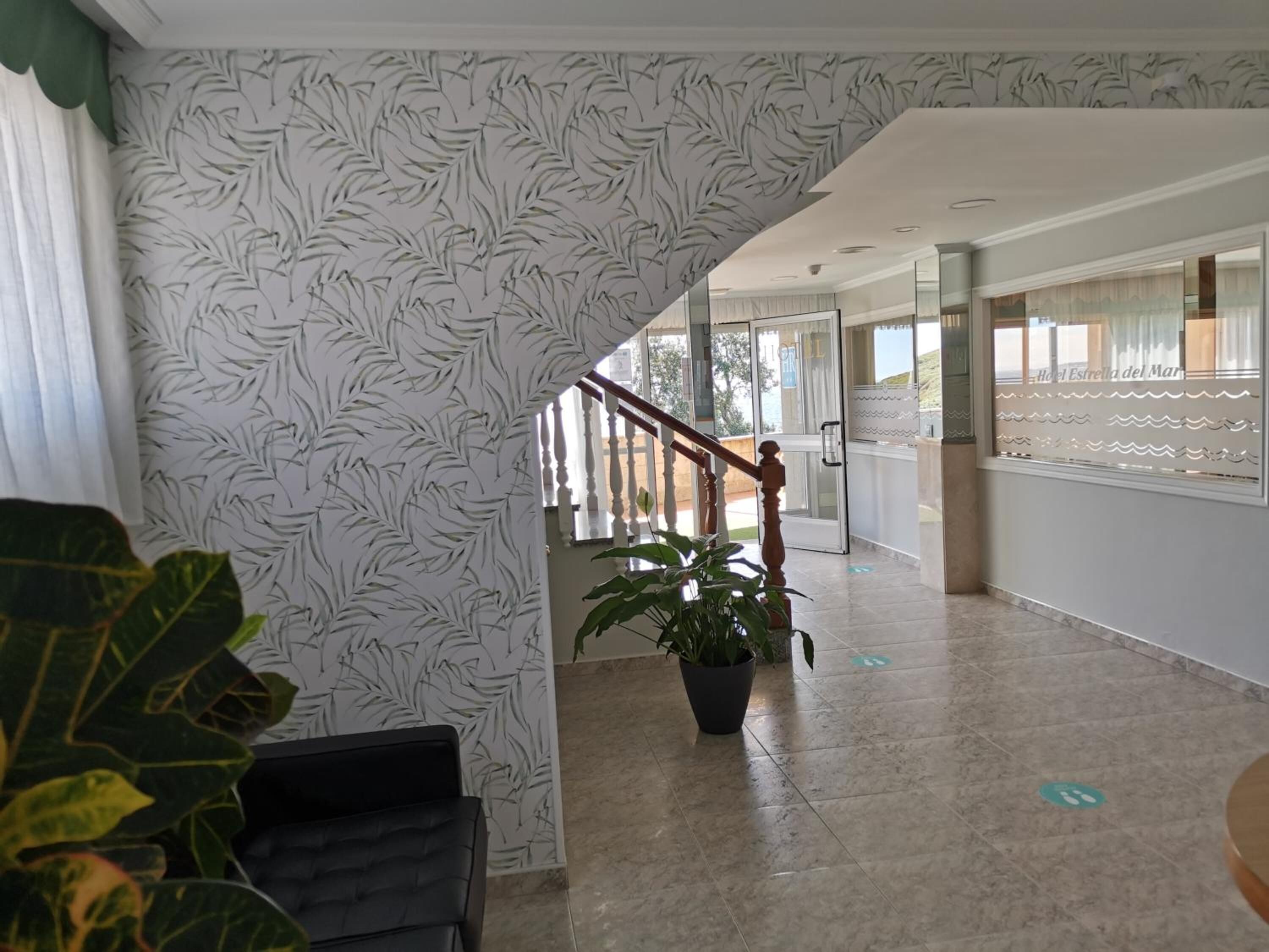 Um hall amplo com parede estampada, escada e planta em vaso.
