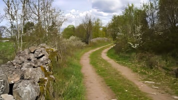 Caminhada