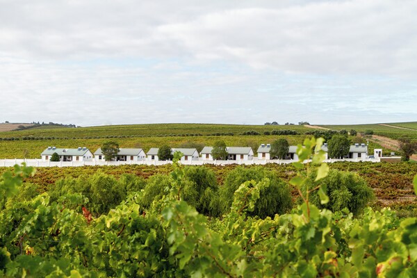 D'aria Guest Cottages - ケープタウン