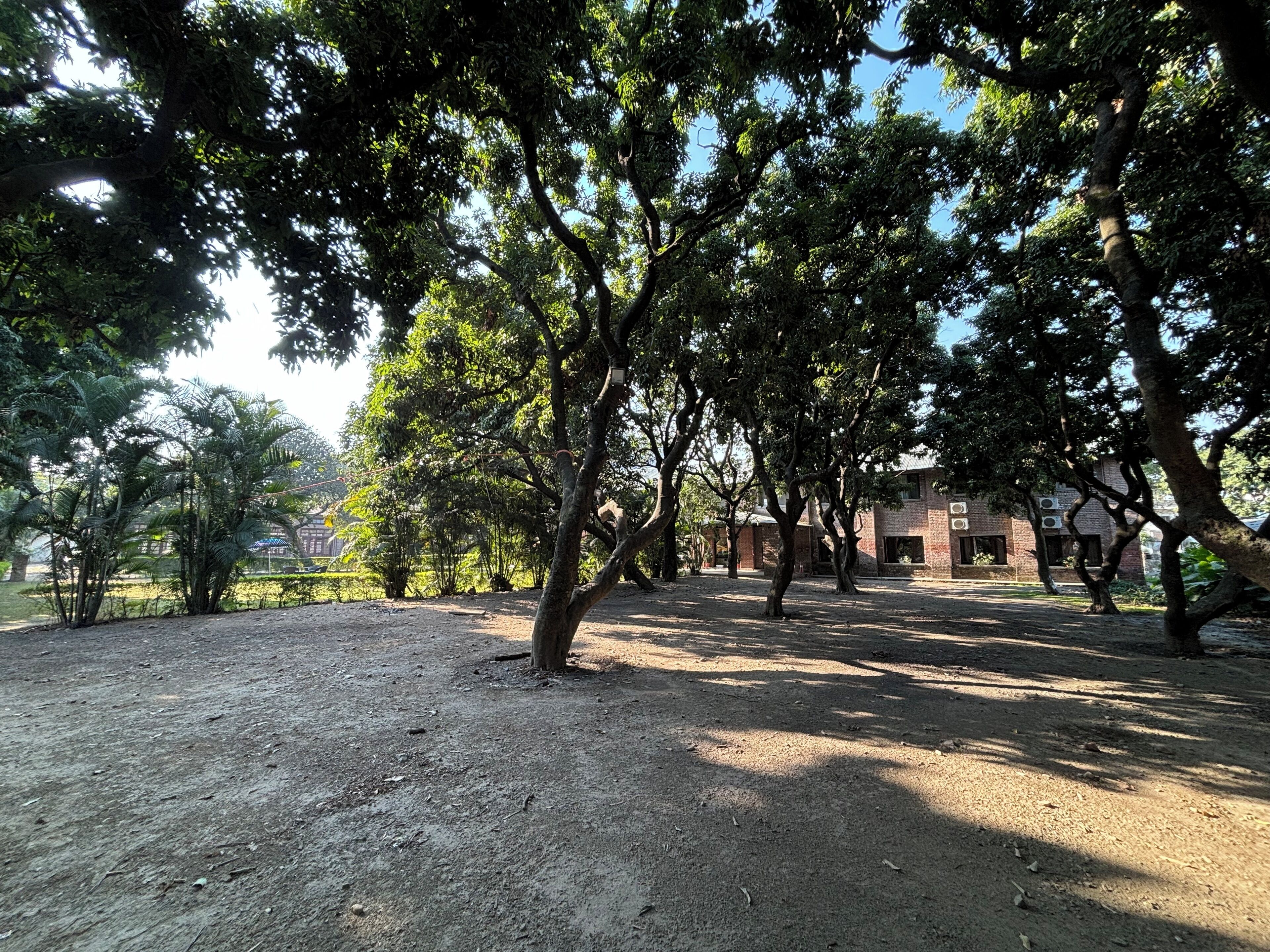 Um parque com árvores e um edifício ao fundo.