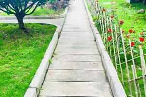 Uma passagem de concreto ladeada por um pequeno muro com flores vermelhas, que leva a uma área gramada com uma árvore.