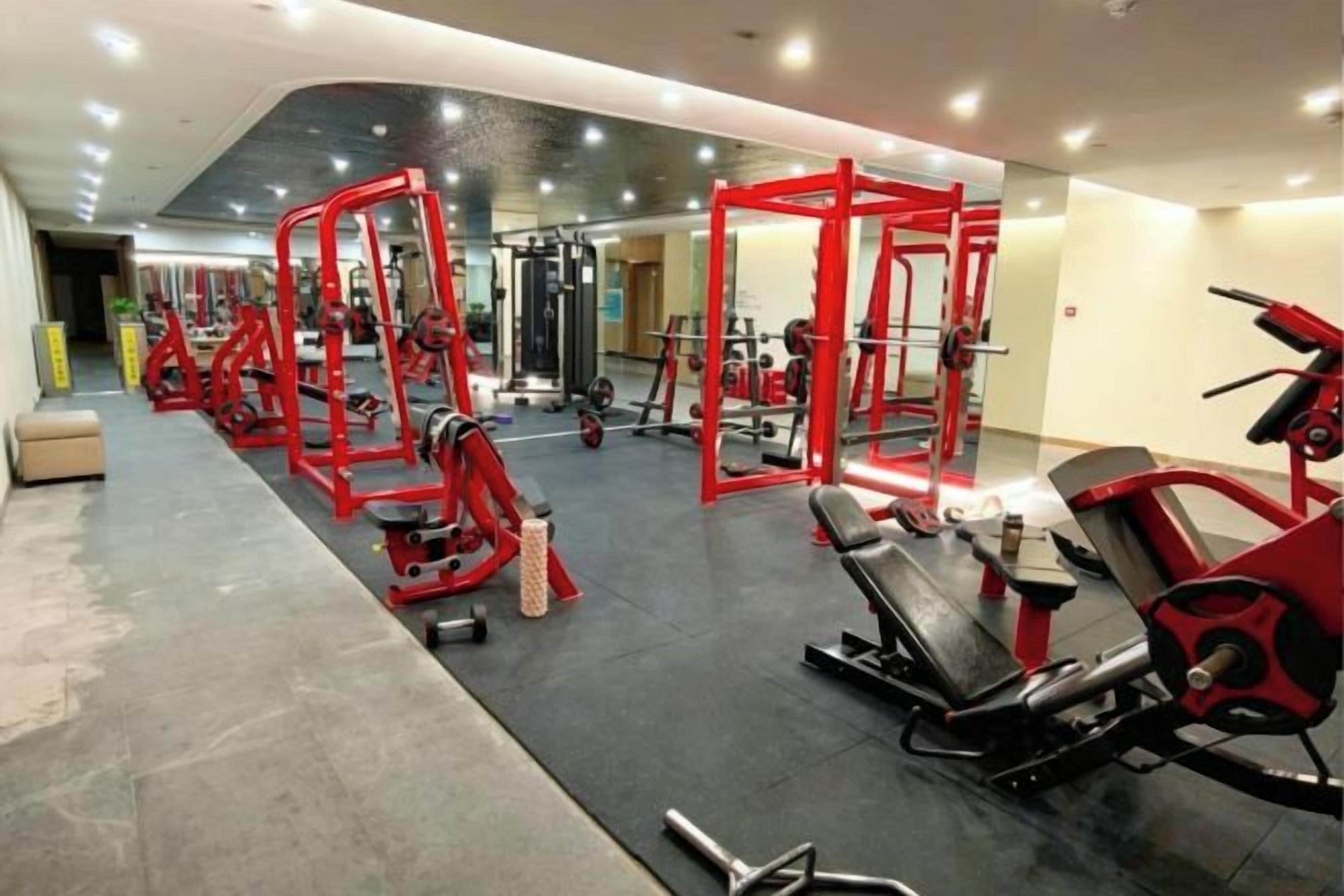 Uma academia com diversos equipamentos de exercícios, incluindo aparelhos de musculação e pesos livres.