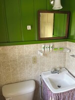 Chuveiro, secador de cabelo, toalhas de banho, sabonete