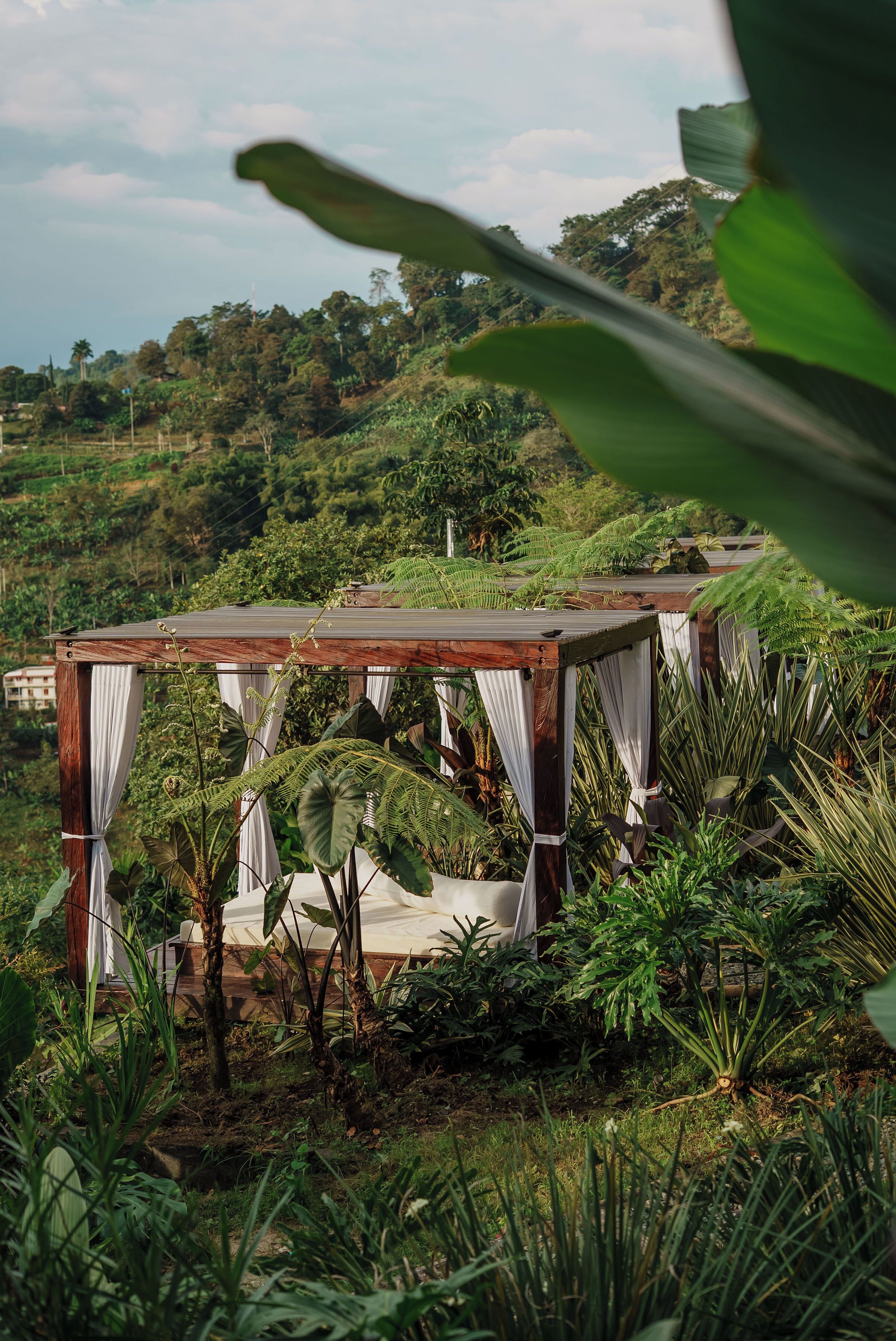 Um gazebo de madeira com cortinas brancas, rodeado por vegetação exuberante e plantas tropicais.