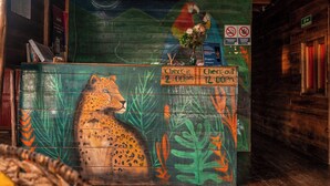 Bancada de recep ção com um mural de leopardo, balcão de check-in/check-out e placa de proibido fumar.