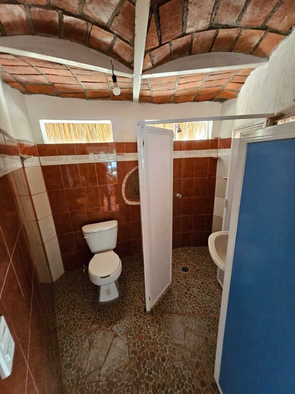 Casa de banho com duas sanitas, chuveiro e divisória azul.