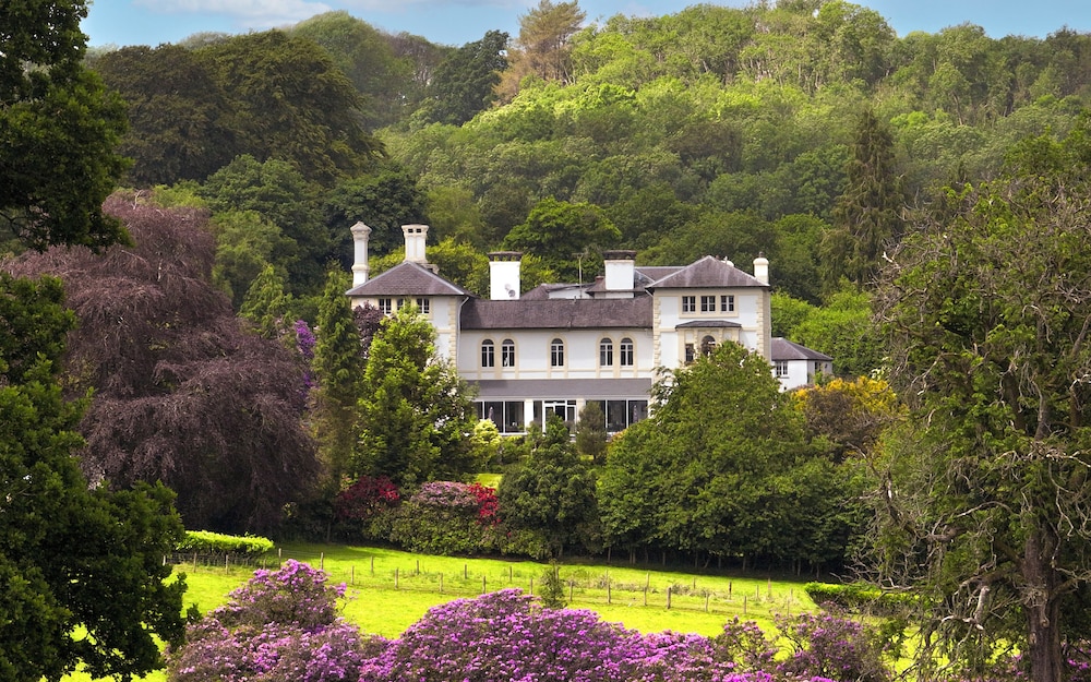 The Falcondale At Lampeter - Lampeter