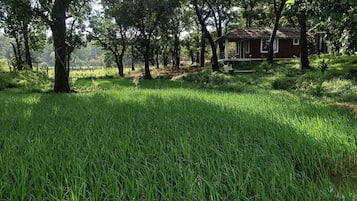 Quarto, 3 quartos | Terrenos do alojamento