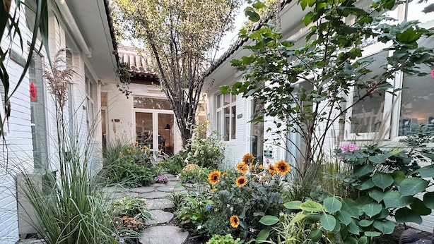 Um caminho estreito no jardim, com pedras para pisar, cercado por diversas plantas e flores.