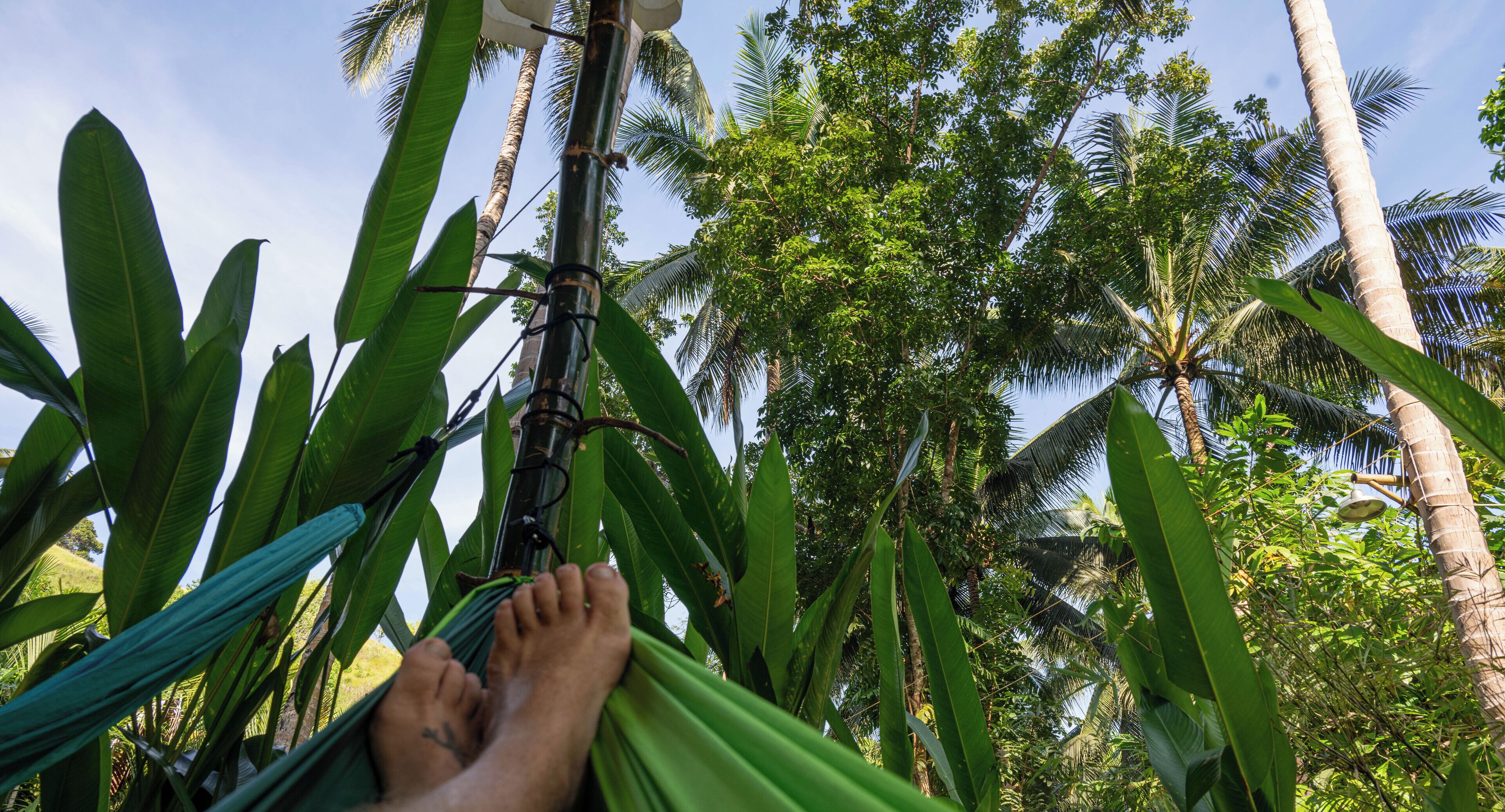 Uma rede entre árvores em um cenário tropical.