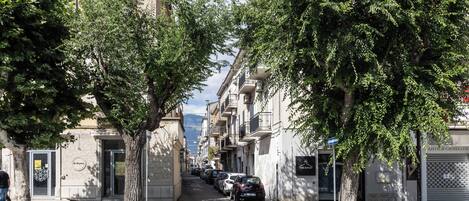 Rua arborizada com carros estacionados e edifícios.