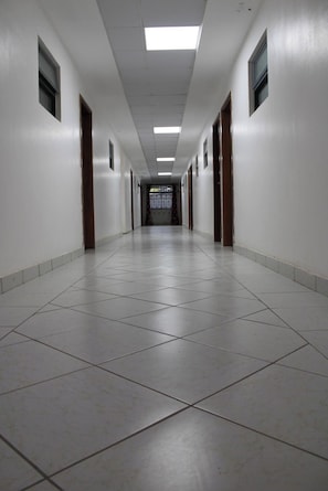 Roupas de cama de algodão egípcio, roupas de cama premium