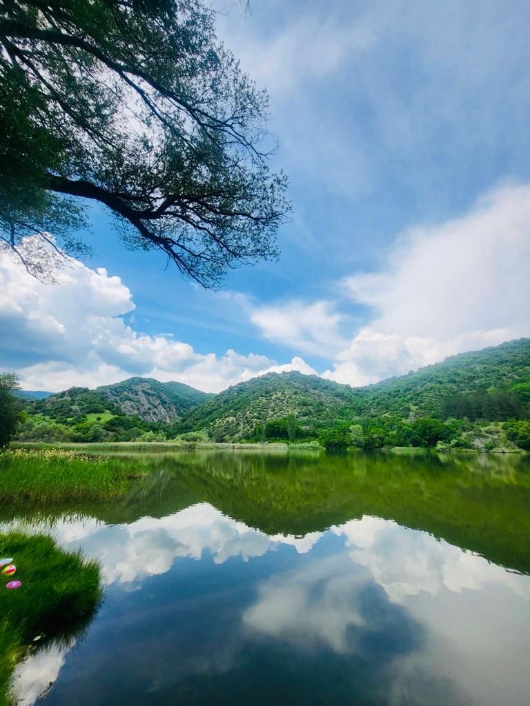 Um lago tranquilo refletindo o céu e o verde ao redor, com montanhas ao fundo.