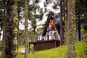 Uma cabana de madeira com telhado inclinado, rodeada por árvores altas e um espaço gramado.