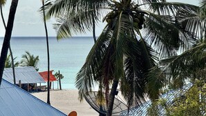 Uma praia com palmeiras, uma antena parabólica e um edifício com telhado de metal corrugado.