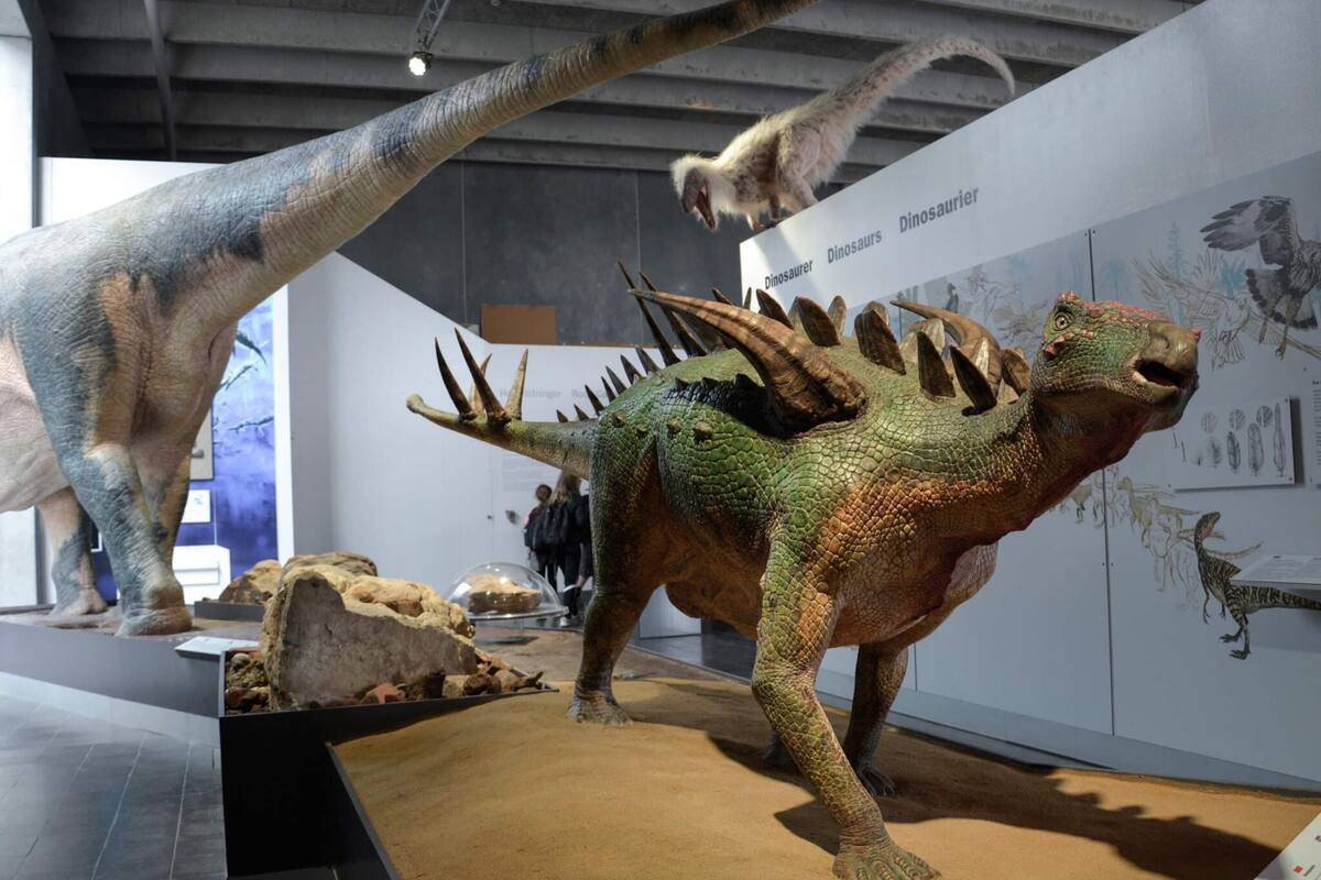 Exposição de dinossauros com diversos modelos, incluindo um Tyrannosaurus rex e um Stegosaurus, dispostos sobre um piso de areia, com painéis informativos ao fundo.