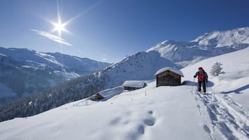 Vista da propriedade