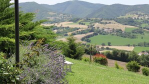 Uma vista panorâmica de um vale com colinas onduladas, um poste de luz e um banco em primeiro plano.