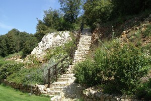 Uma escadaria de pedra que sobe uma colina, rodeada por vegetação e árvores.